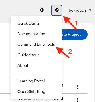 Command Line Interface (CLI) - Documentation